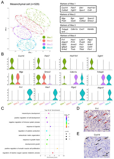 Single-Cell Transcriptomic Analysis of the Mouse Pancreas ...