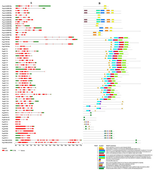 Genome-Wide Identification of m6A Writers, Erasers and Readers in ...
