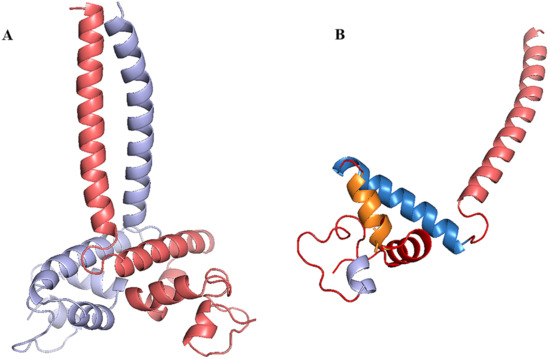 Genome-Wide Identification of m6A Writers, Erasers and Readers in ...