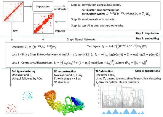 scHiCEmbed: Bin-Specific Embeddings of Single-Cell Hi-C Data Using ...