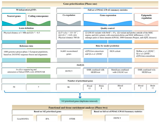 Bioinformatic Prioritization and Functional Annotation of GWAS-Based Candidate Genes for Primary ...