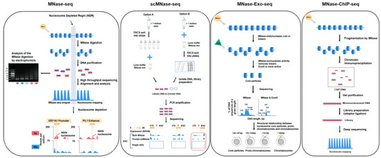 Nucleosome-Omics: A Perspective on the Epigenetic Code and 3D Genome ...