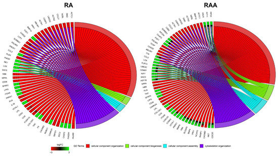 Genes | An Open Access Journal from MDPI