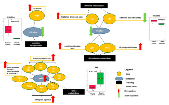 Genes | An Open Access Journal from MDPI