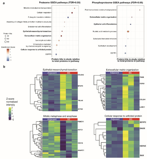 Genes | An Open Access Journal from MDPI
