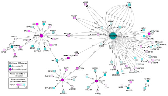 Genes | An Open Access Journal from MDPI