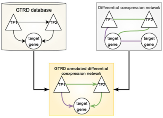 Genes | An Open Access Journal from MDPI