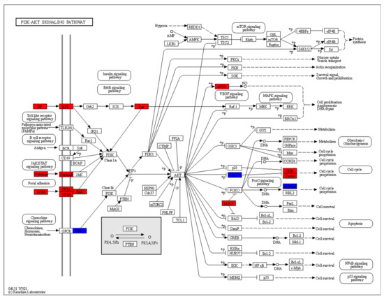 Genes | An Open Access Journal from MDPI