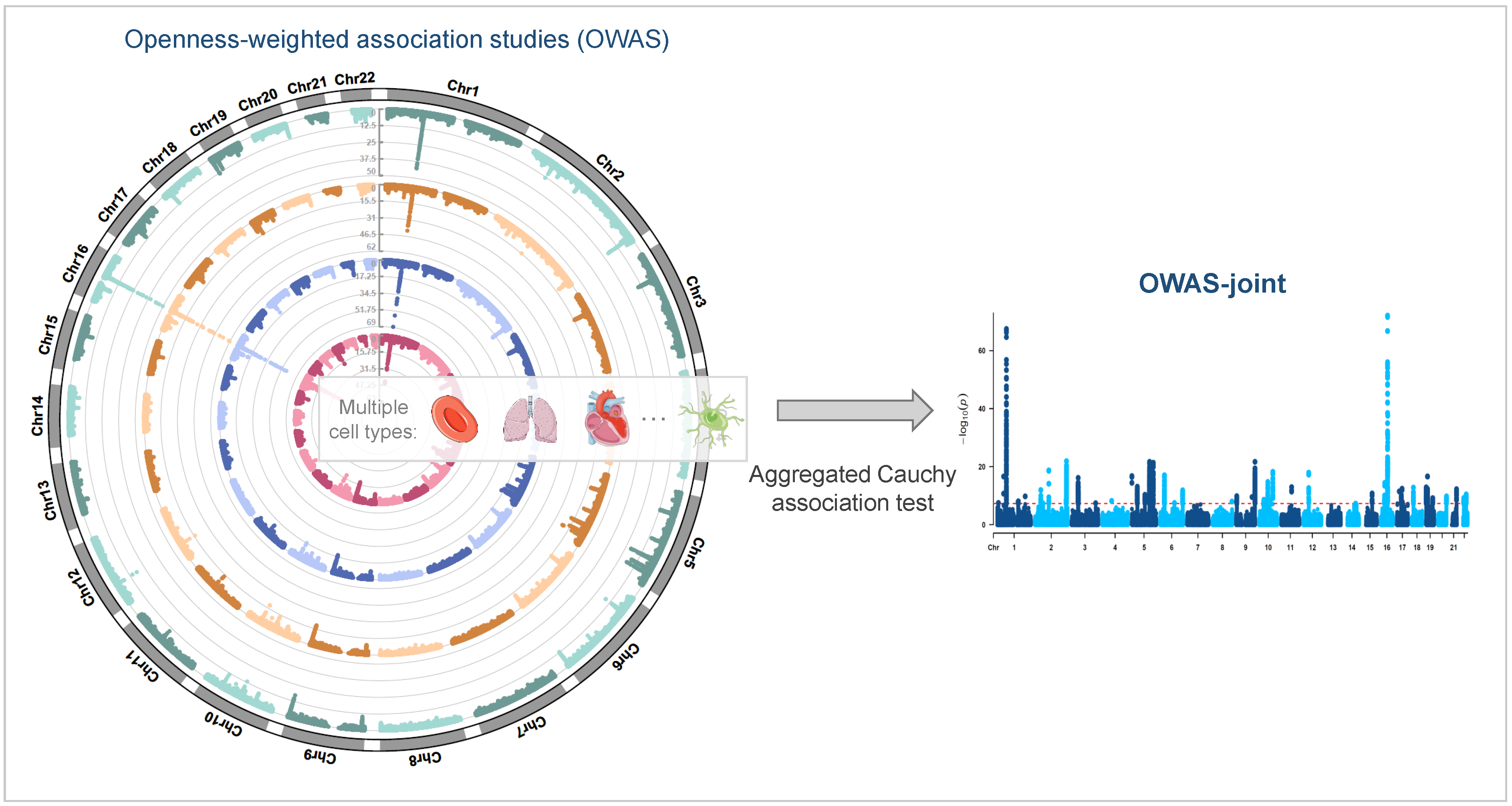 Multi-Cell-Type Openness-Weighted Association Studies for Trait ...