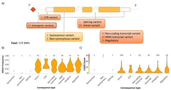 Genes | An Open Access Journal from MDPI
