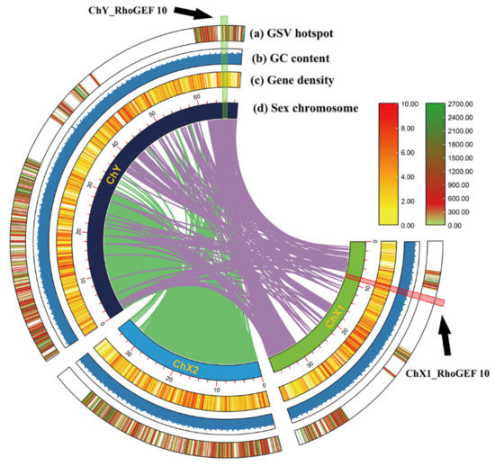 Genes | An Open Access Journal from MDPI