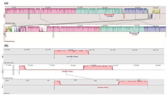 Genes | An Open Access Journal from MDPI
