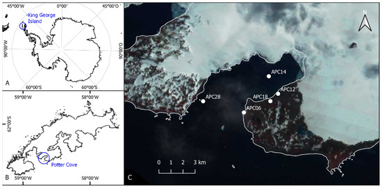 Photosynthetic, Respirational, and Growth Responses of Six Benthic ...