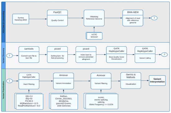 Genes | An Open Access Journal from MDPI