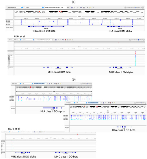 Genes | An Open Access Journal from MDPI