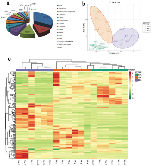 Genes | Free Full-Text | Transcriptomic and Metabolomic Analyses Provide Insights into the ...
