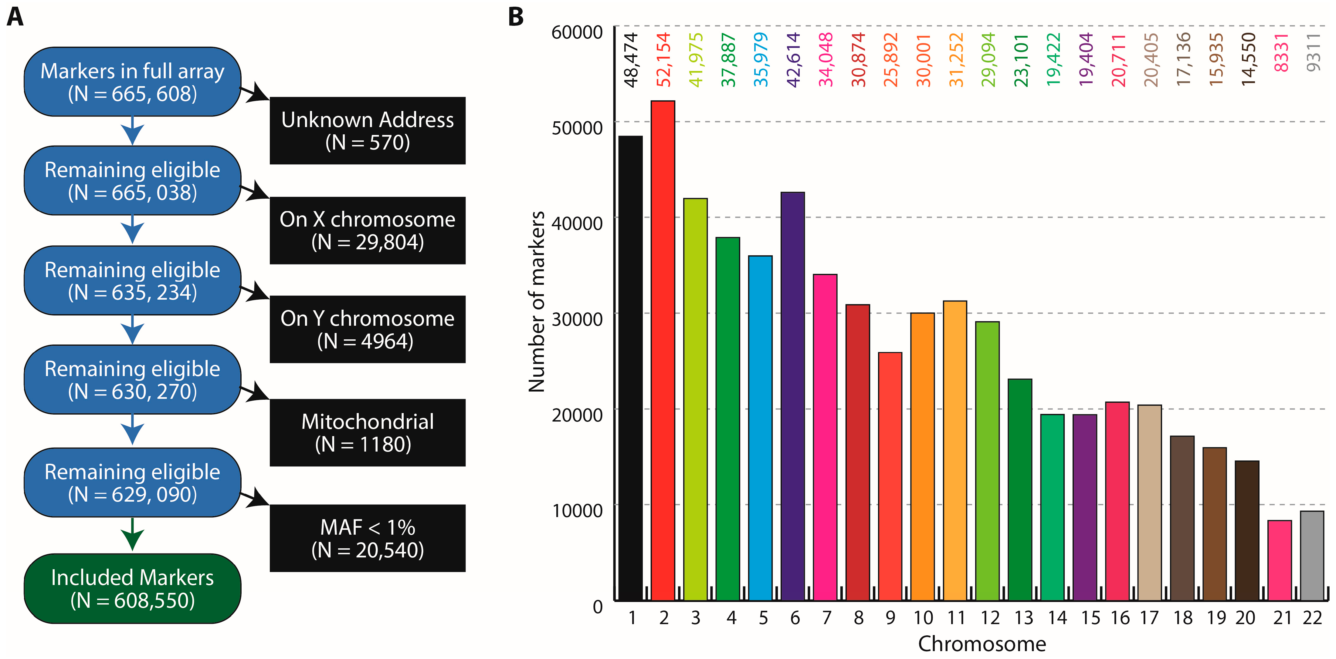 Susceptibility Loci for Type 2 Diabetes in the Ethnically Endogamous ...