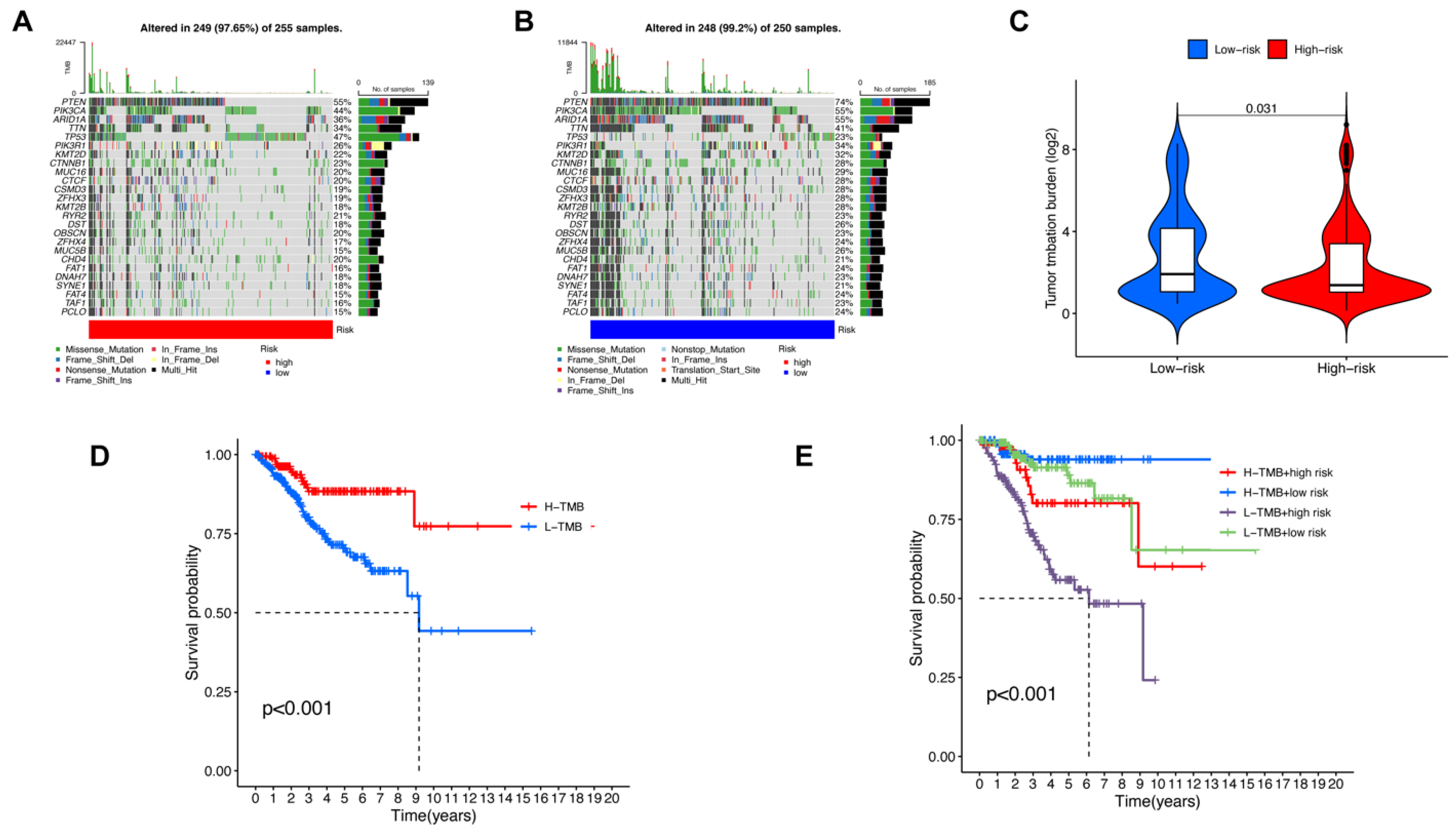 Genes Free Full Text Identification And Validation Of An M7g