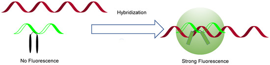 Fluorescent Platforms for RNA Chemical Biology Research