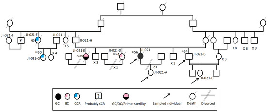 Genes | An Open Access Journal from MDPI
