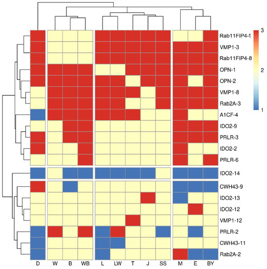 Genes | An Open Access Journal from MDPI
