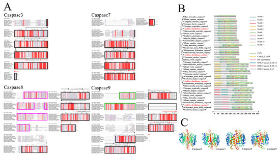 Genes | An Open Access Journal from MDPI