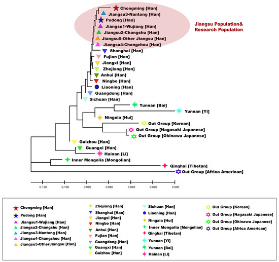 Genes | Free Full-Text | Forensic Analysis and Genetic Structure ...