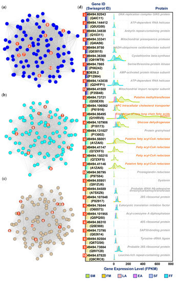 Identification of the Key Pathways and Genes Involved in the Wax ...