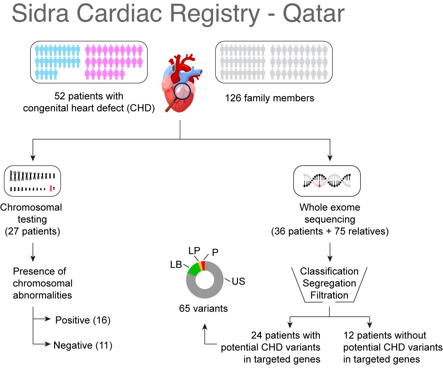 Genes | Free Full-Text | Investigation of Genetic Causes in Patients ...