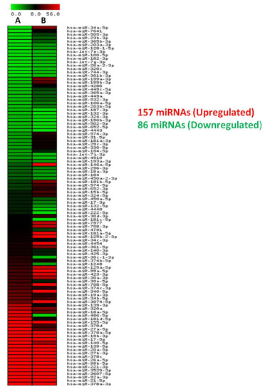 miR-23b-3p Modulating Cytoprotective Autophagy and Glutamine Addiction in Sorafenib Resistant ...