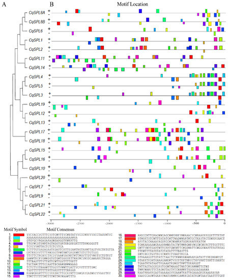 Genes | An Open Access Journal from MDPI