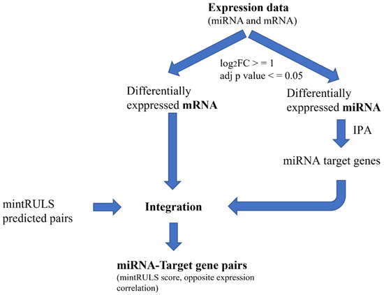 Genes Free Full Text Mintruls Prediction Of Mirna Mrna Target Site