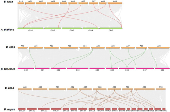 Comprehensive In Silico Characterization and Expression Pro-Filing of ...