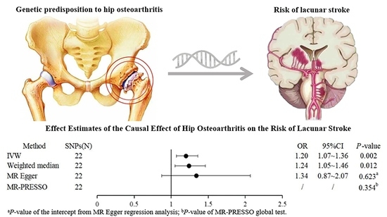 Genes | Free Full-Text | Hip Osteoarthritis and the Risk of Lacunar ...