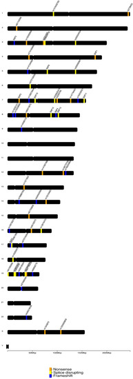 Genes | Free Full-Text | Whole-Genome Profile of Greek Patients with ...