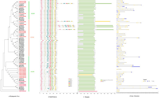 Genes | Free Full-Text | Detoxification Gene Families at the Genome ...