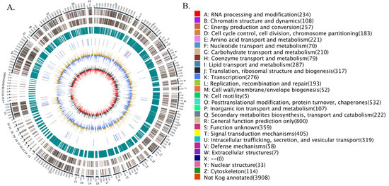 Whole-Genome Sequencing and Comparative Genomics Analysis of the Wild ...