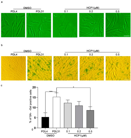 Grp94 Inhibitor HCP1 Inhibits Human Dermal Fibroblast Senescence