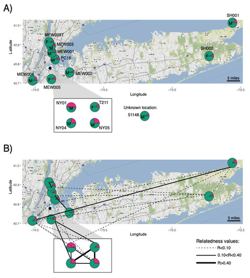 Genes | Free Full-Text | Coyotes in New York City Carry Variable ...