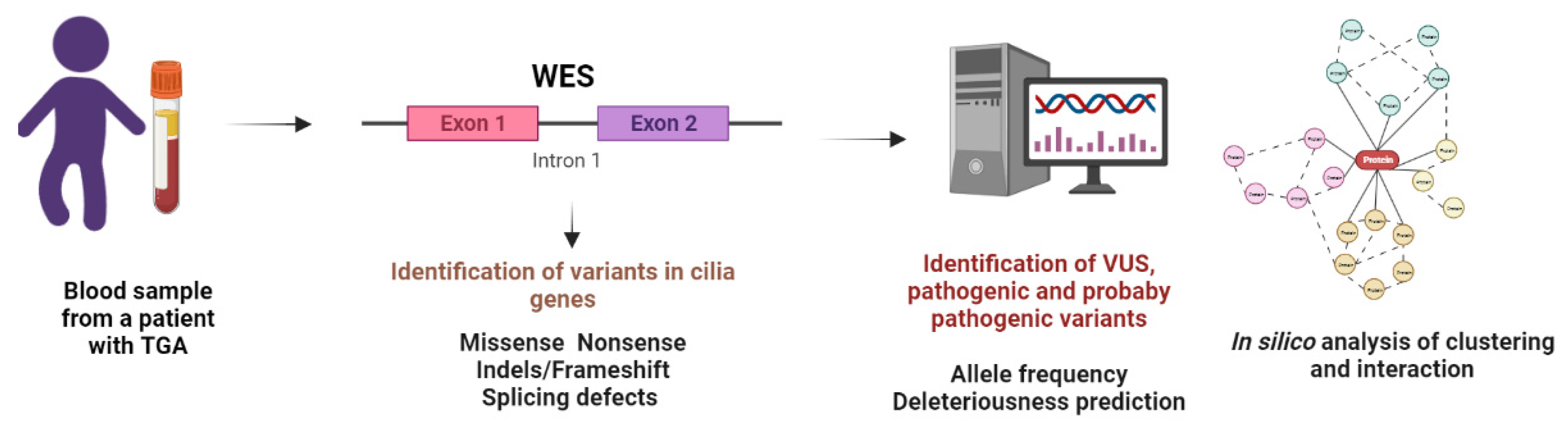 Genes | Free Full-Text | Clustering of Genetic Anomalies of Cilia Outer ...