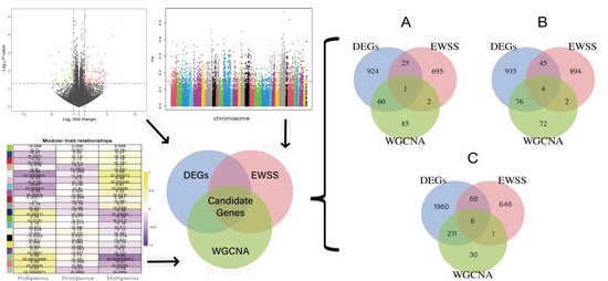 Genes | Free Full-Text | Blood Transcriptome Analysis of Beef Cow with ...