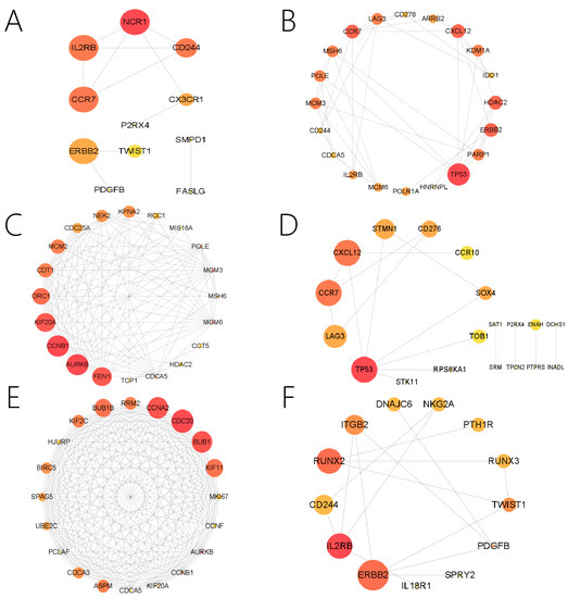 Blood Transcriptome Analysis of Beef Cow with Different Parity Revealed ...