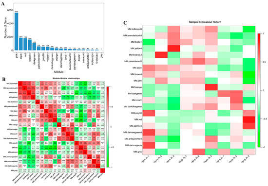 Gene Regulation during Carapacial Ridge Development of Mauremys ...