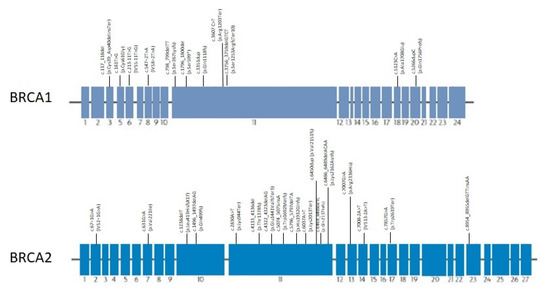Increased Risk of Hereditary Prostate Cancer in Italian Families with ...