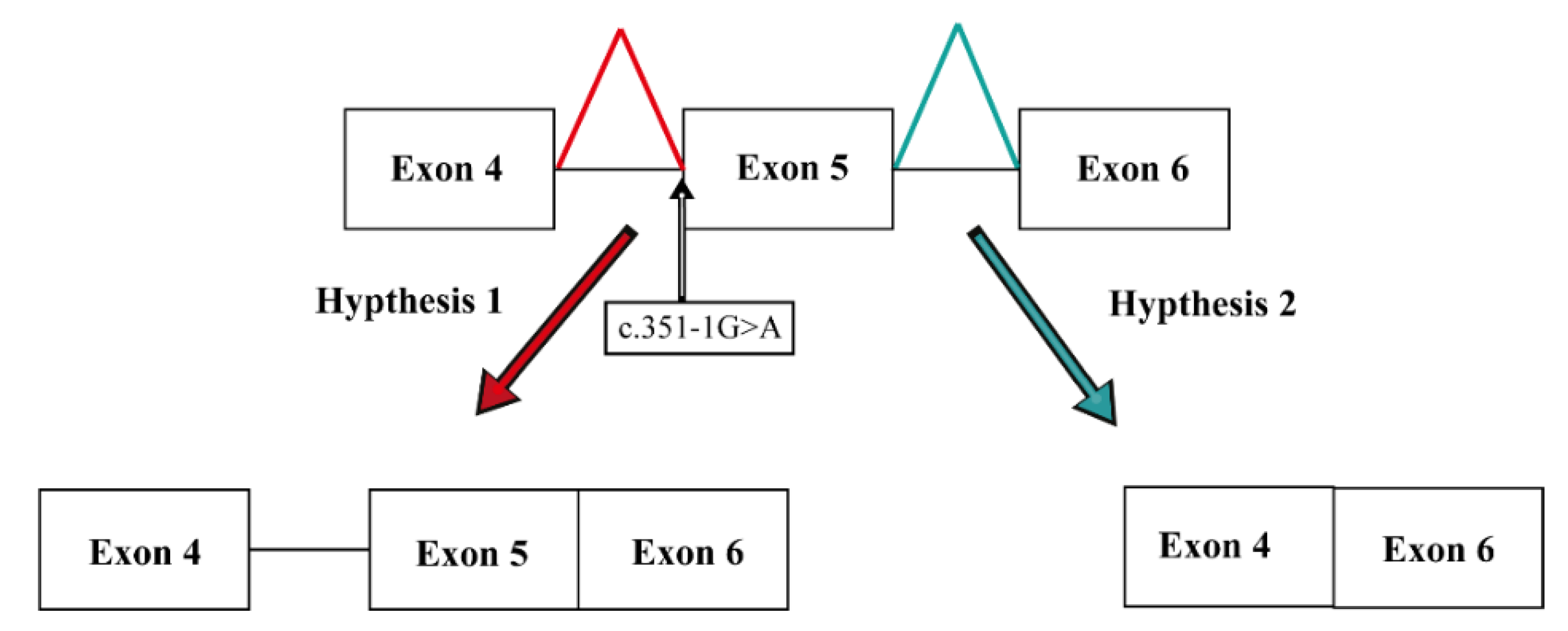 Combining Gene Mutation with Expression of Candidate Genes to Improve ...