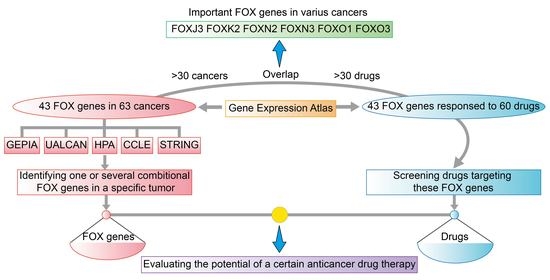 Genes | Free Full-Text | An Integrated Study on the Differential ...