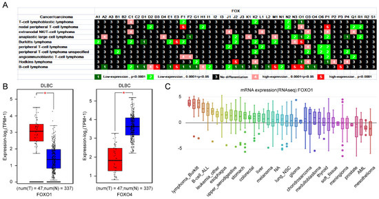 An Integrated Study on the Differential Expression of the FOX Gene ...