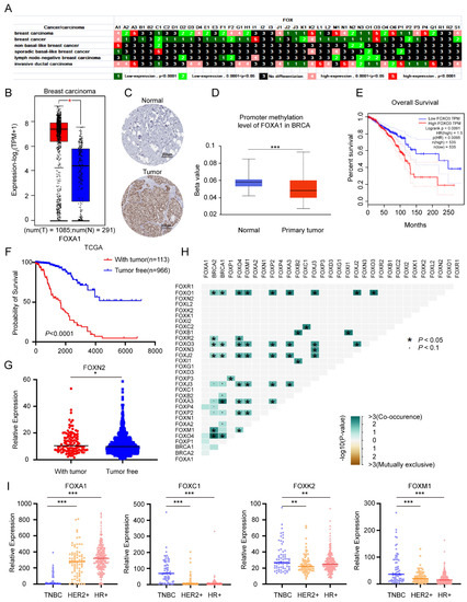 An Integrated Study on the Differential Expression of the FOX Gene ...