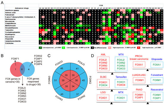 An Integrated Study on the Differential Expression of the FOX Gene ...