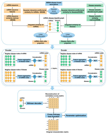 Genes | Free Full-Text | Using Sequence Similarity Based on CKSNP Features and a Graph Neural ...